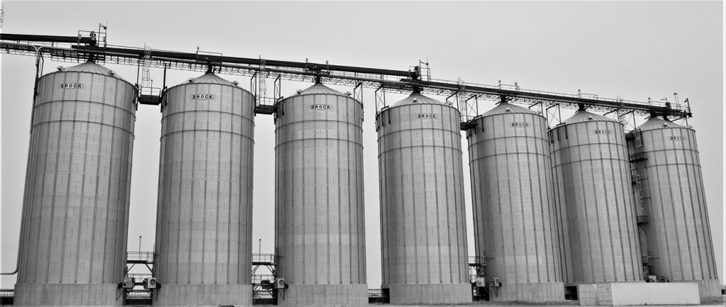 Innovative Grain Storage Solutions: A Blueprint for Sustainable Agriculture
