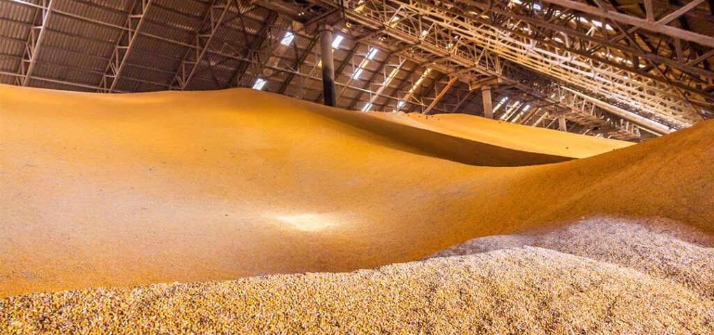 Enhancing Grain Handling Systems: Technologies and Strategies